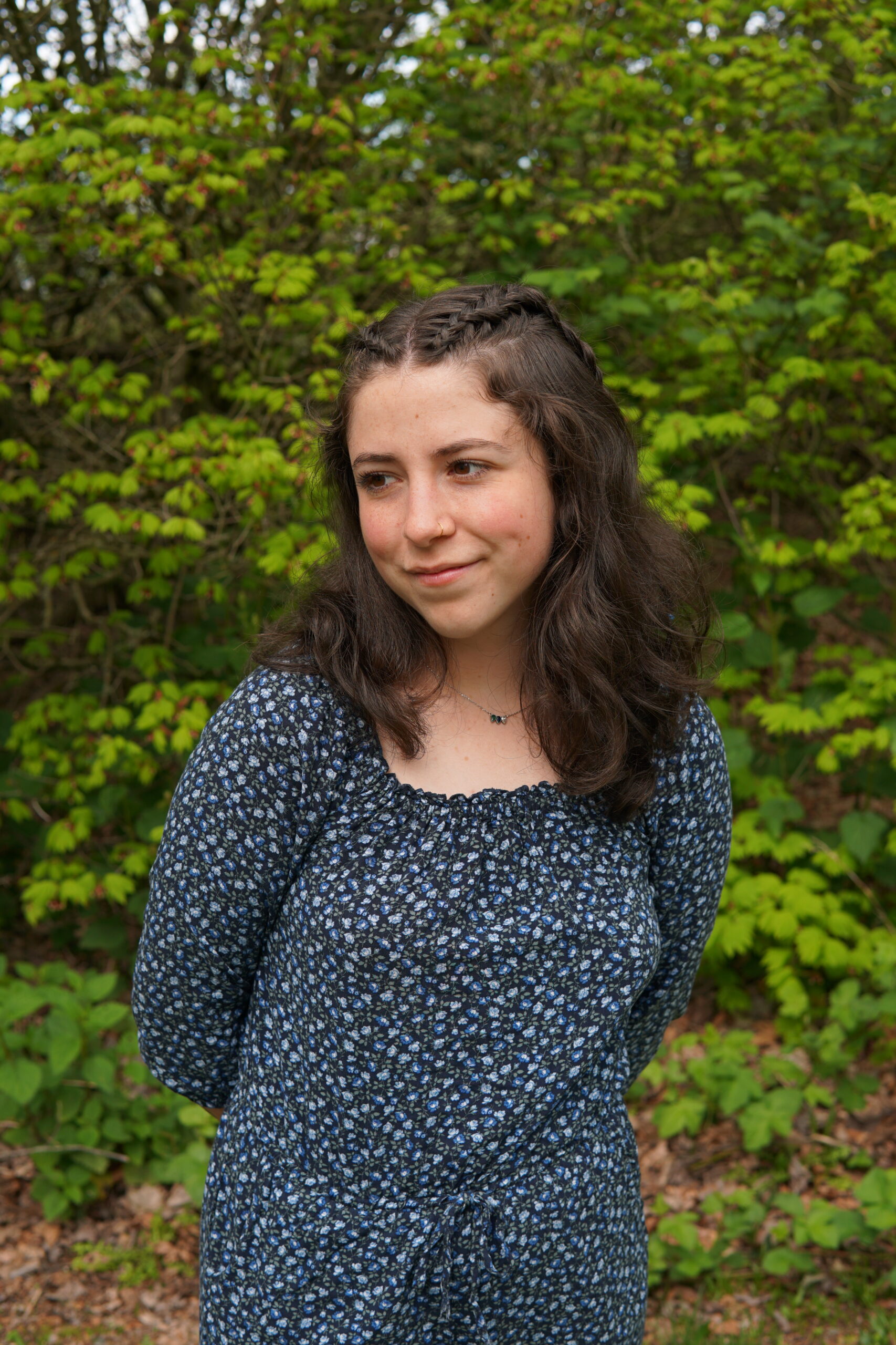 About - Backyard Bears